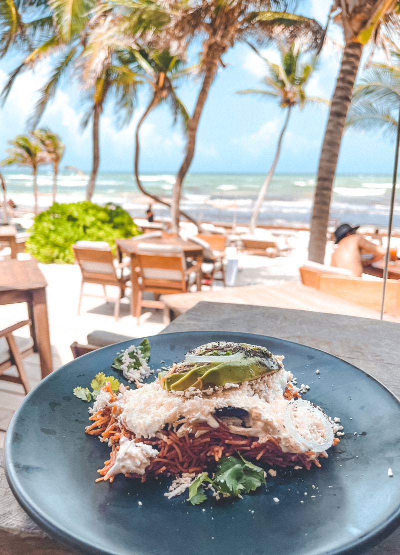 The Best Restaurants in Tulum by area | Kiki Tulum
