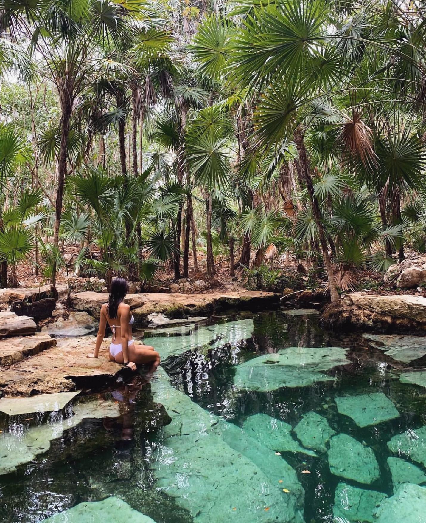 The 10 Best Cenotes in Tulum : Ultimate Guide 2024